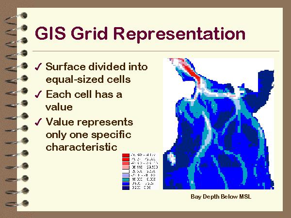 GIS Grid Representation